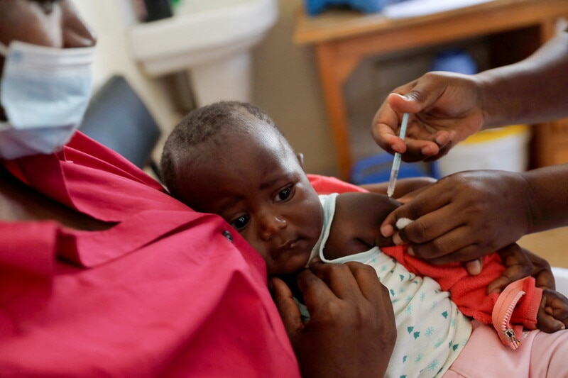 We are facing a 'perfect storm' on malaria. But renewed efforts can ...