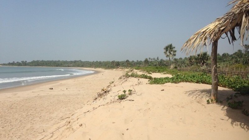 How Ebola has hit Gambia’s economy | World Economic Forum
