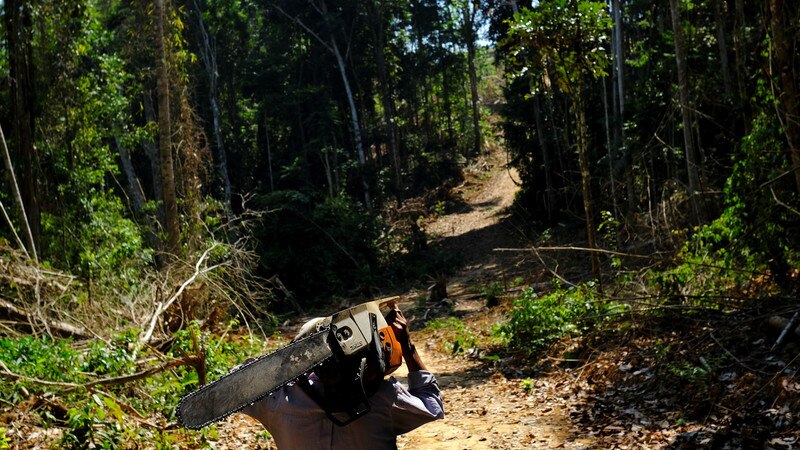 Deforestation in the Amazon is putting uncontacted tribes at risk ...
