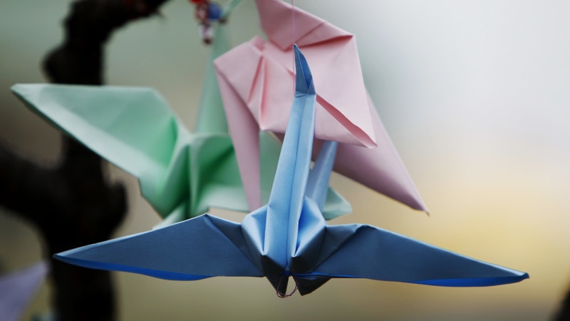 This bioactive 'tissue paper' could regenerate organs | World Economic ...