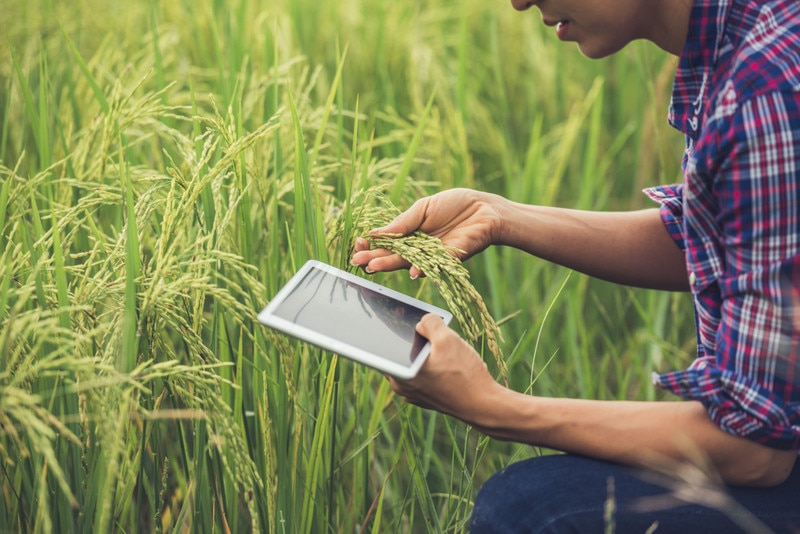 14 youth-led innovations that are protecting our planet | World ...