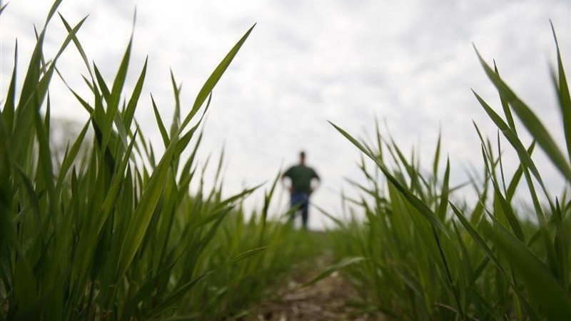 Assessing future environmental trends | World Economic Forum