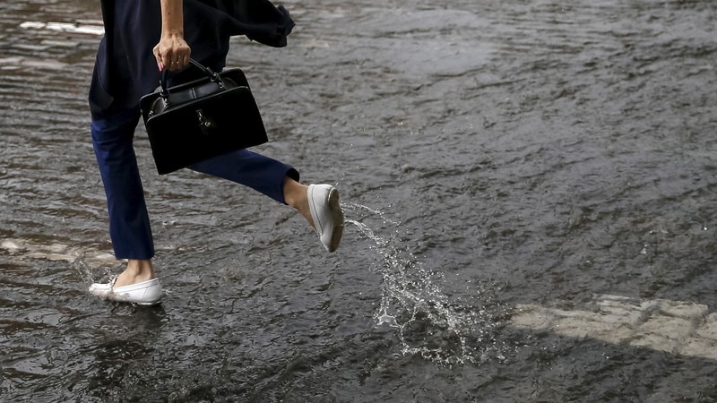 Did life on Earth begin in a puddle? | World Economic Forum