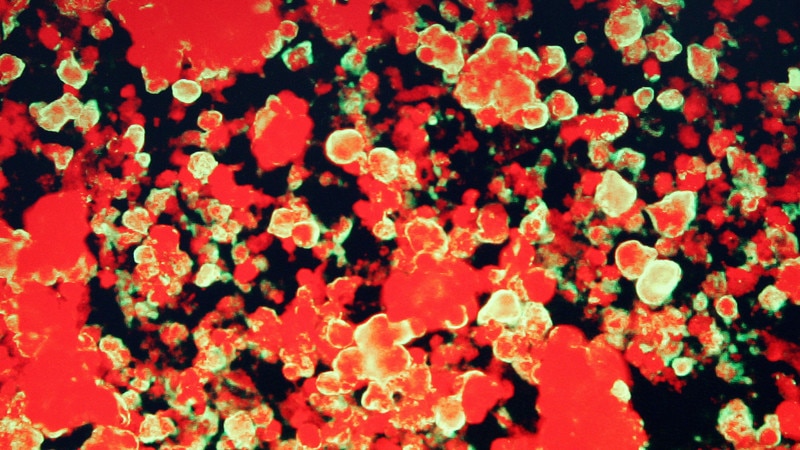How does the cell supply chain work? | World Economic Forum