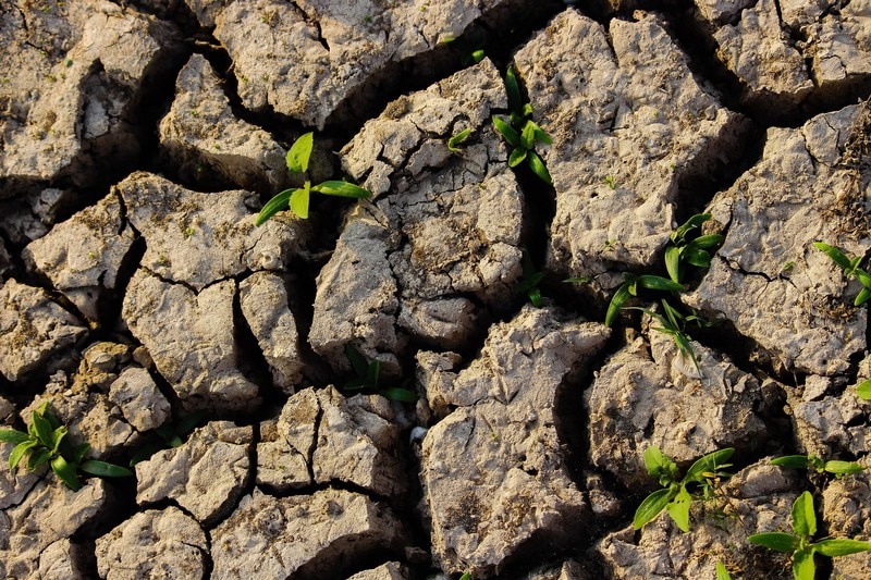 War and climate change: The historical causes of famine | World ...