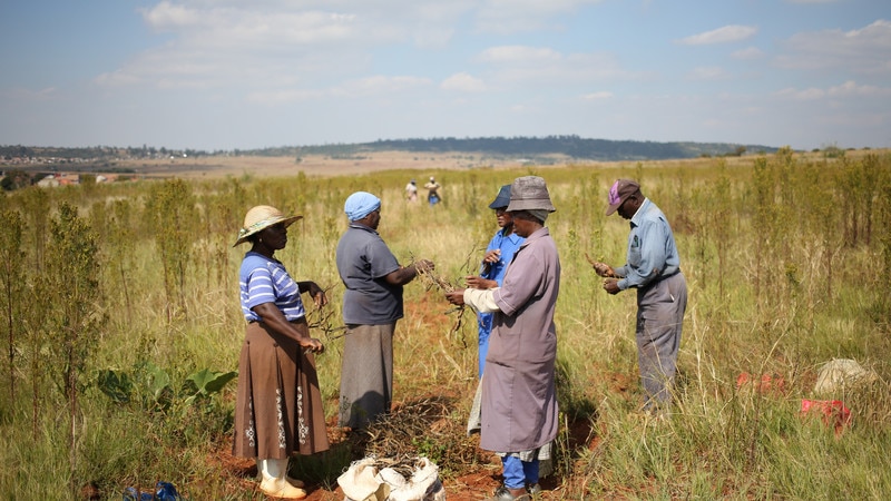 These Kenyan ‘peace ambassadors’ are working to reduce water conflicts ...