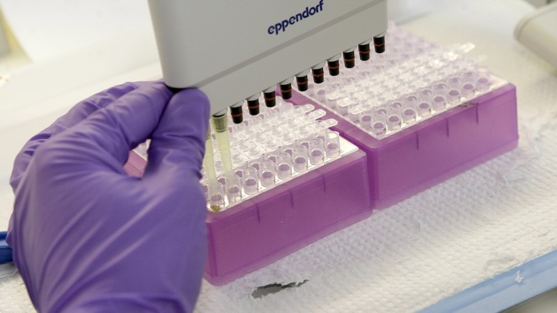 Q&A: What’s the future of genetic engineering? | World Economic Forum