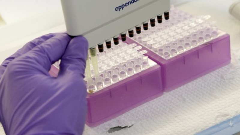 Genetic report cards could be the future of healthcare | World Economic ...