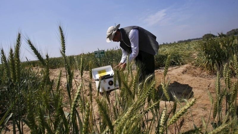 Are smart mini sensors the next big thing in tech? | World Economic Forum