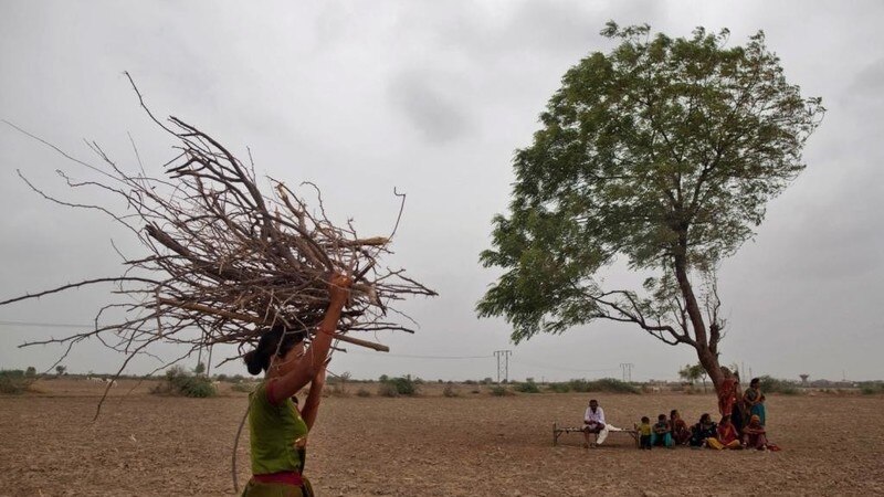 The inextricable links between poverty and the environment | World ...