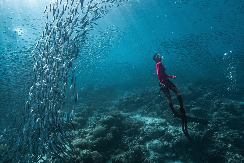 How businesses can identify where nature-related risk matters most ...