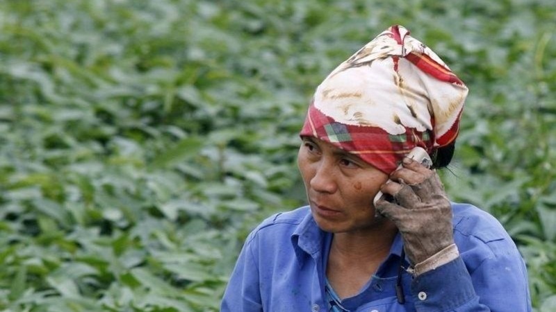 Food and Agriculture Organization of the United Nations (FAO) | World ...