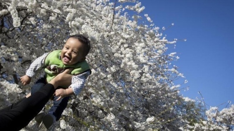 The importance of understanding child development | World Economic Forum