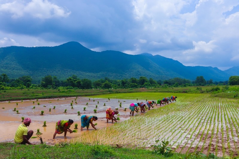 Farmers highlight benefits of embracing the digital economy | World ...