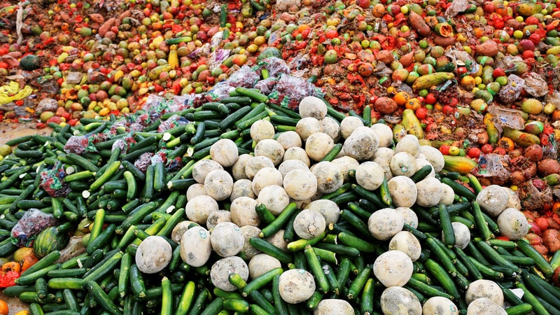 By 2030 we could throw away more than 2 billion tonnes of food | World ...