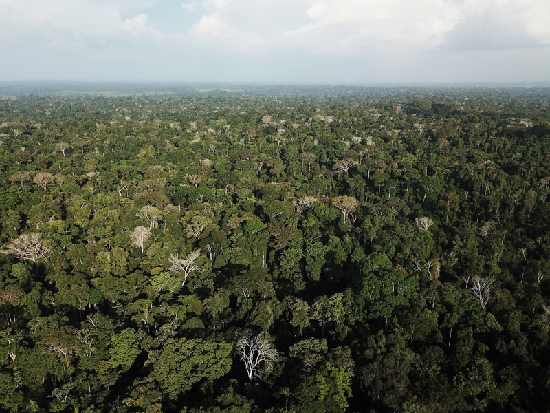 Why are some places more biodiverse? | World Economic Forum