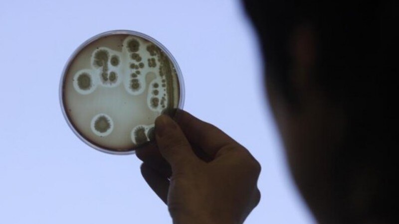 How the human body works in harmony with friendly bacteria | World ...