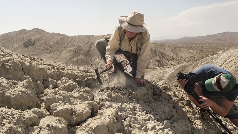 These female paleontologists have grown beards in pursuit of equality ...
