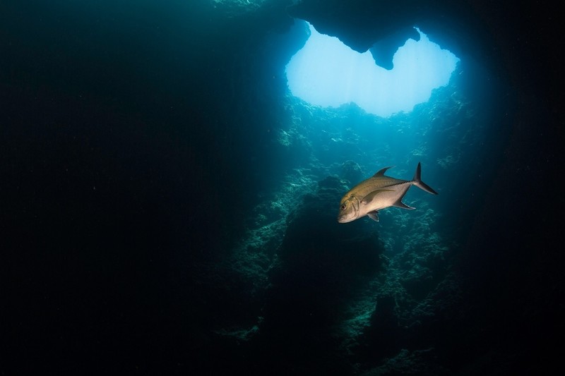 New ocean observation system to achieve a digital ocean | World ...