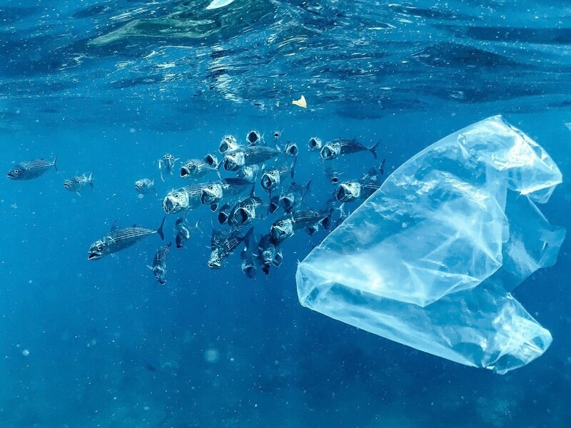 Are you breathing plastic air at home? Here’s how microplastics are ...