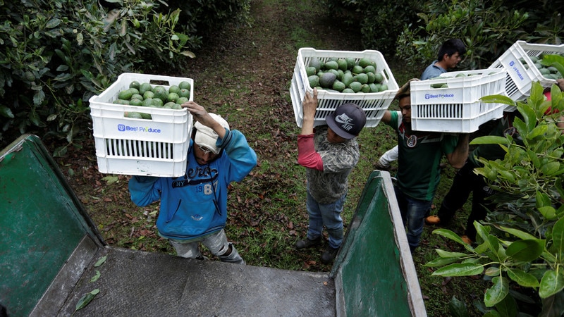 How our food system is eating away at nature, and our future | World ...