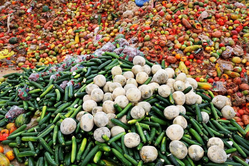How food waste is being turned into fashion and cosmetics | World ...