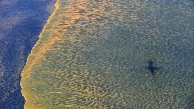 How sick are the oceans? | World Economic Forum