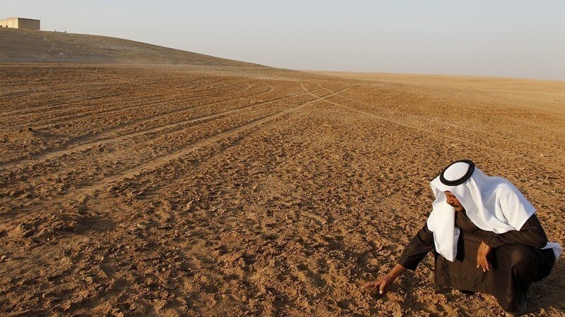 How can we fight desertification? | World Economic Forum