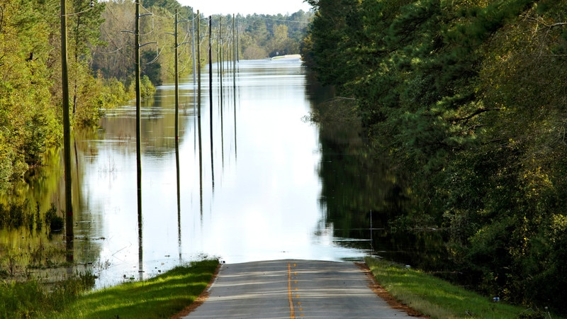 How flooding causes damaging carbon to course through ecosystems ...