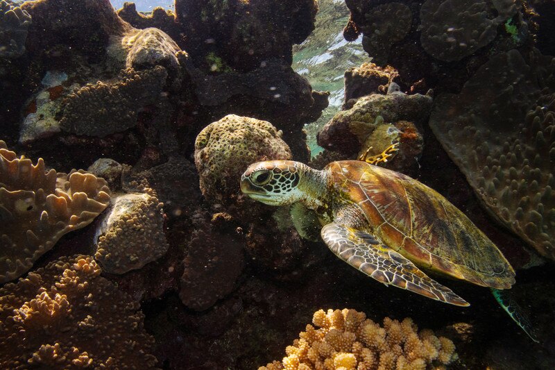The biggest nature and climate news stories for June 2023 | World ...