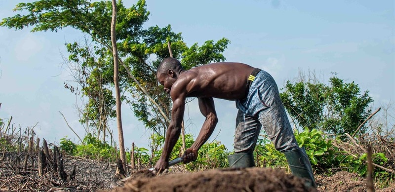 How heat acclimation can help workers survive hot weather | World ...