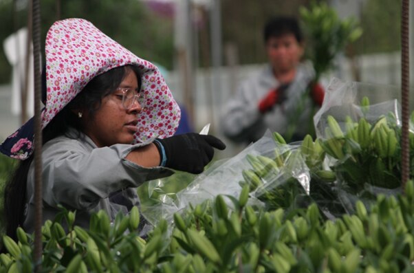 To develop trust locally, international development must target ...