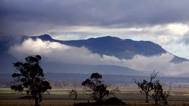 How to use nature in climate adaptation | World Economic Forum