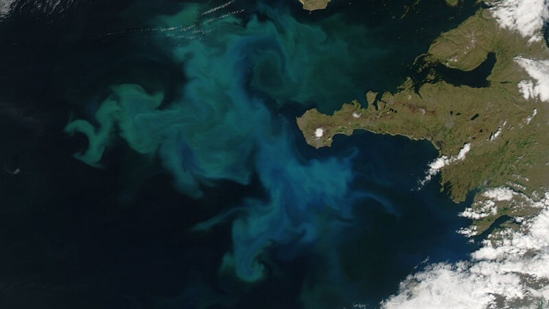 How plankton help control clouds over the world’s most remote oceans ...