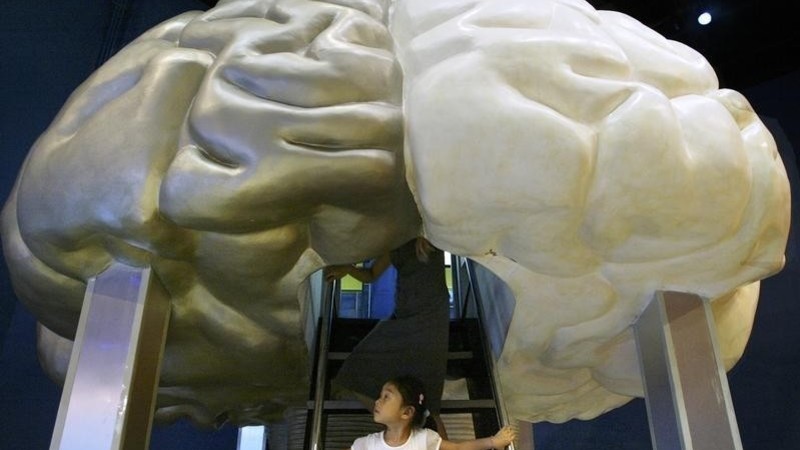 What can science learn from our ageing brains? | World Economic Forum
