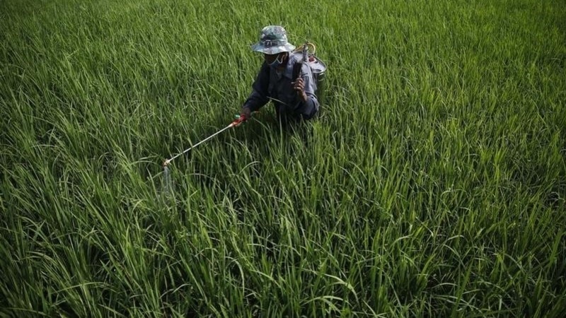 How do we protect global food supplies from extreme weather? | World ...