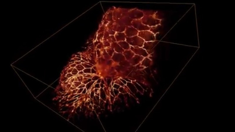 The breakthrough super-resolution microscope | World Economic Forum