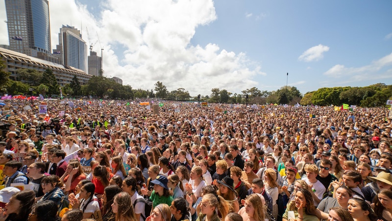 We can meet the SDGs using the wisdom of crowds. Here's how | World ...