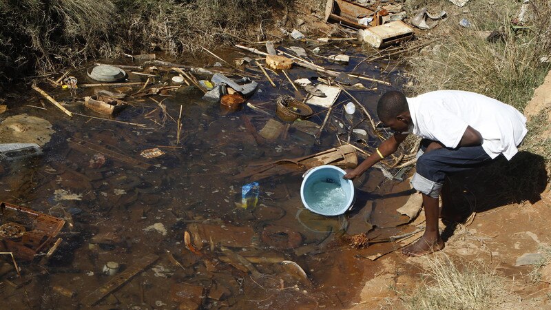 Why does typhoid only target humans? | World Economic Forum