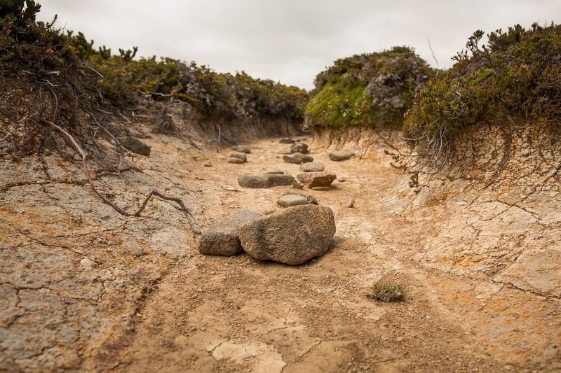 Droughts push more people to migrate than floods | World Economic Forum