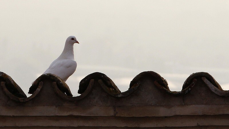 The Global March Toward Peace | World Economic Forum