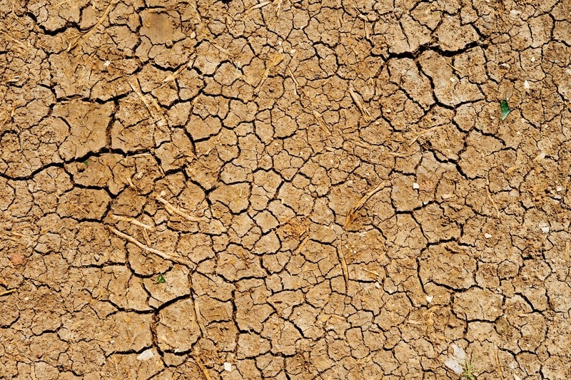 Worsening droughts: How climate change is affecting the West | World ...