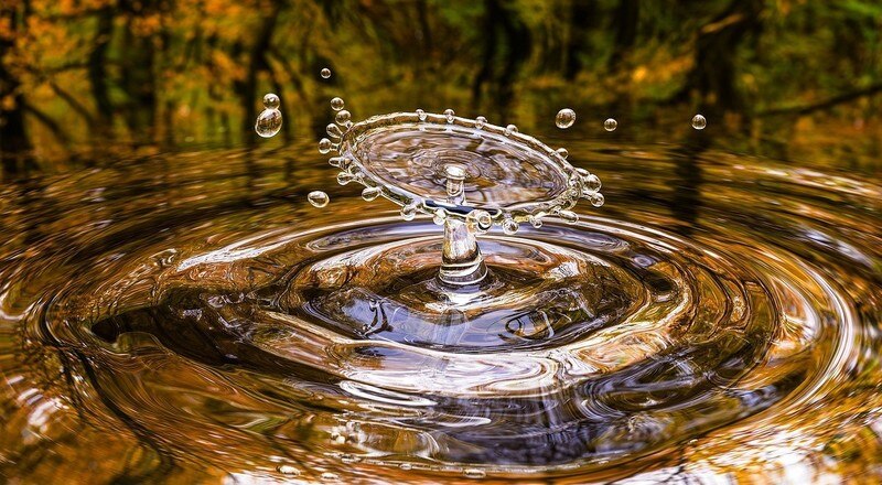 Embracing a water-saving culture for a water-positive future | World ...