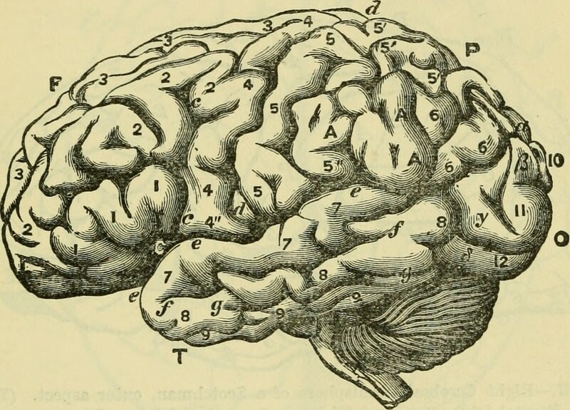 How neurodiversity in the workplace drives business success | World ...