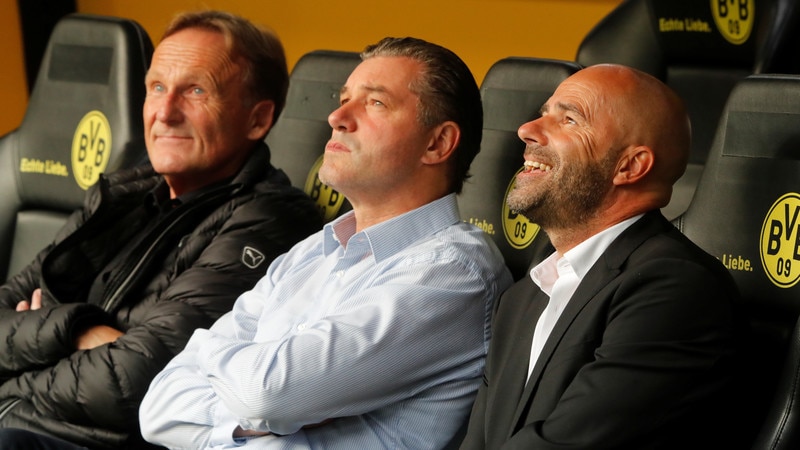 Here's what business leaders can learn from the world of sport | World ...