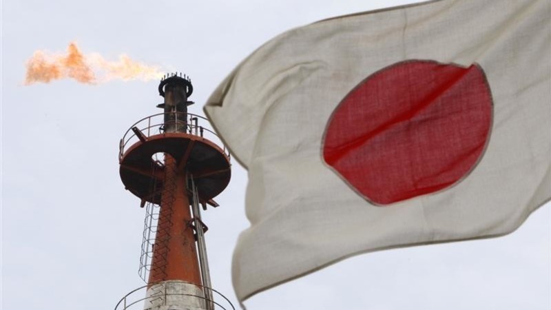 Japan’s energy challenge: from sustainability to survivability | World ...