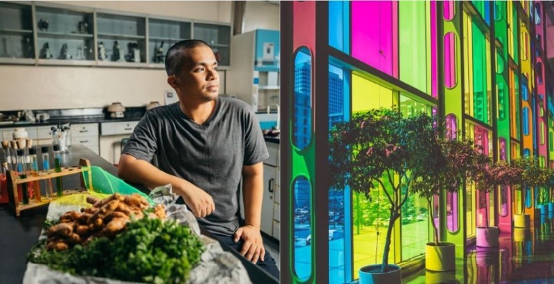 Here’s how a food waste extract is transforming solar panels | World ...