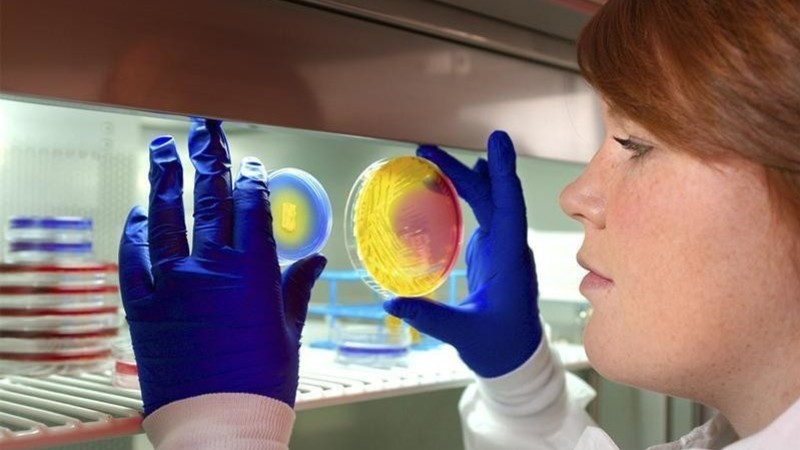 Three challenges for the future of science | World Economic Forum