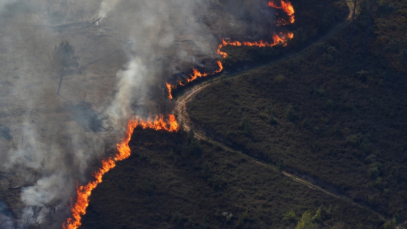 Climate change is creating catastrophic wildfires | World Economic Forum