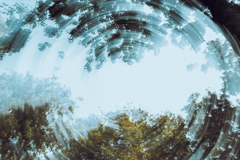 The Circulars Accelerator 2023 - Closing Showcase | World Economic Forum